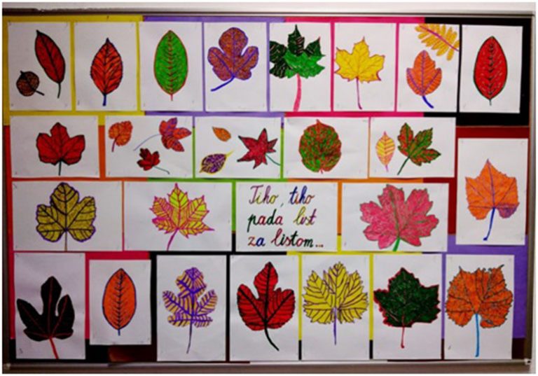 List komplementarni kontrast - Školska knjiga - tu za vas