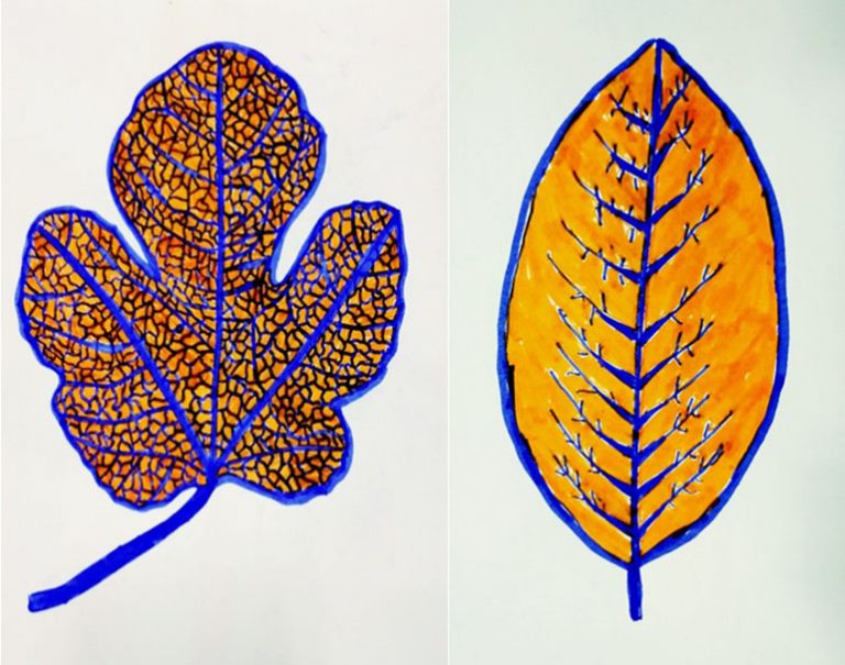 List komplementarni kontrast - Školska knjiga - tu za vas