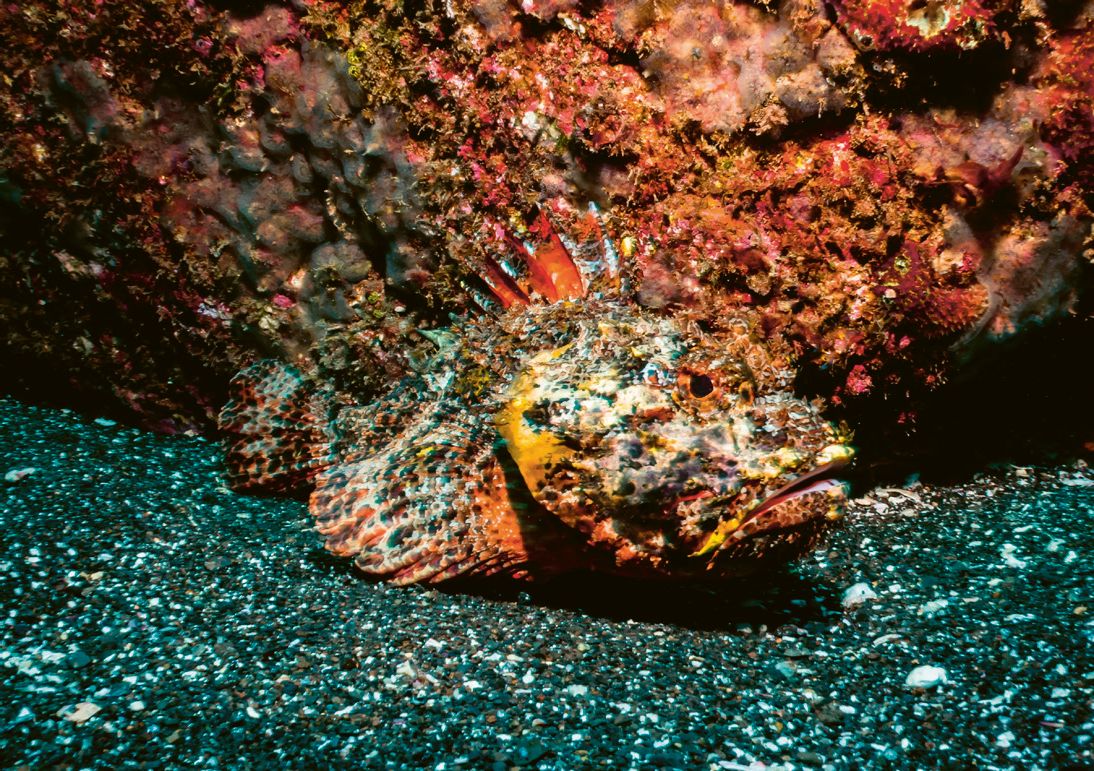 O moru da ti pojem ... - Školska knjiga - tu za vas